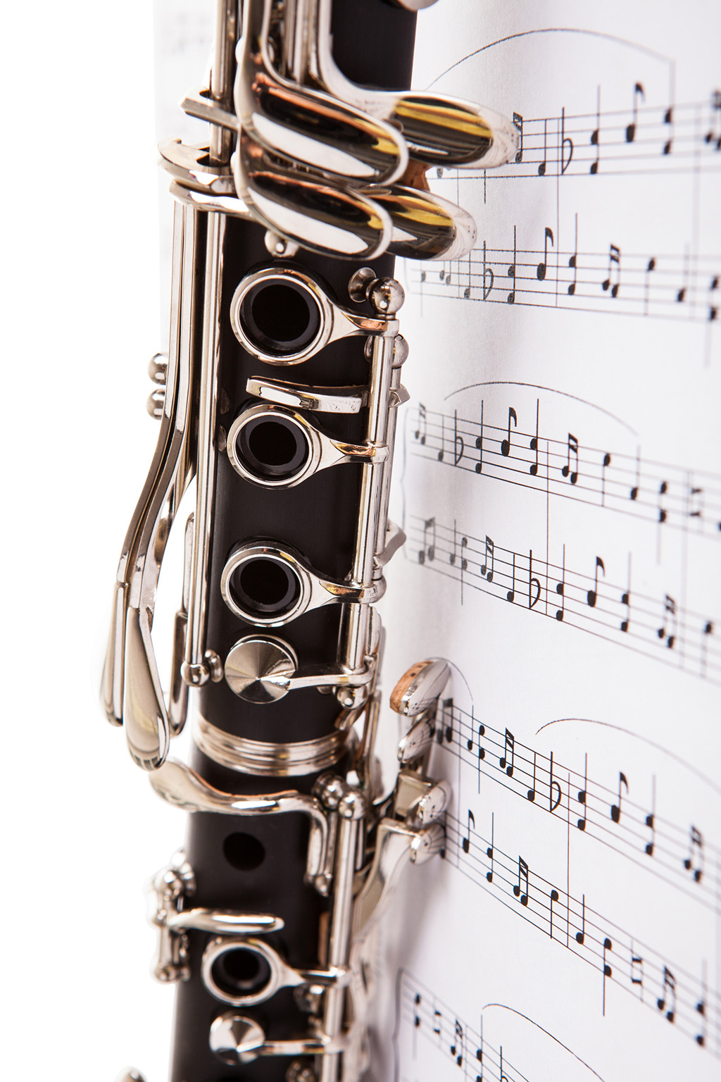 What Types of Wood Are Clarinets Made From? | Adams Music
